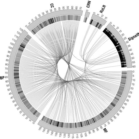 Visualization Of The Sequence Annotation Using Go Categories Blast