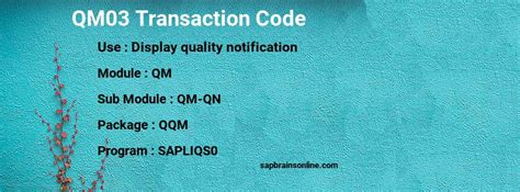 QM03 SAP Tcode For Display Quality Notification