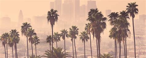 Josh Dally Dallyjosh Twitter