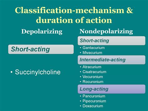 Neuromuscular Blocking Agents Ppt