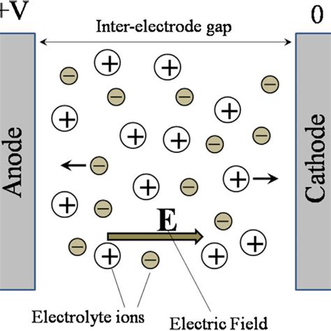 Schematic Representation Of Charged Ions Within The Electrode Gap