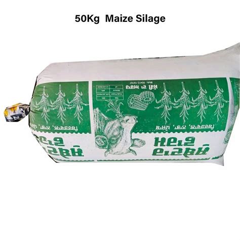 50kg Maize Silage At ₹ 65kg Nabha Id 2855328475430