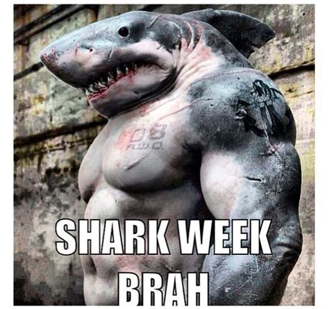 Jumping The Shark