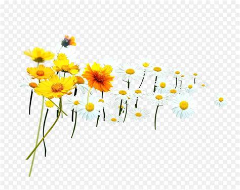 小花素材png图片素材下载图片编号qlbkvrok 免抠素材网