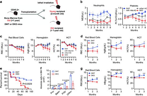 The Aging Bone Marrow Microenvironment Plays An Important Role In The