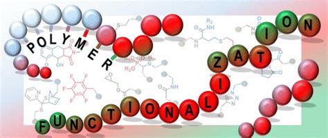 50th Anniversary Perspective Polymer Functionalization Macromolecules