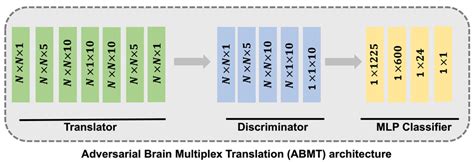 proposed adversarial brain multiplex translation abmt blocks abmt is