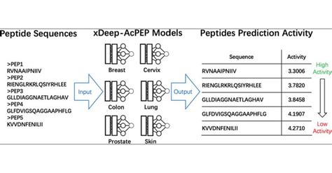 Shirley Weng In Siu On Linkedin Xdeep Acpep Deep Learning Method For Anticancer Peptide Activity