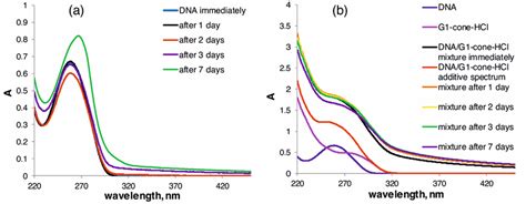 Uv Vis Spectra Of A Pure Dna 3710 × 10 −5 M Base Pairs B Dna