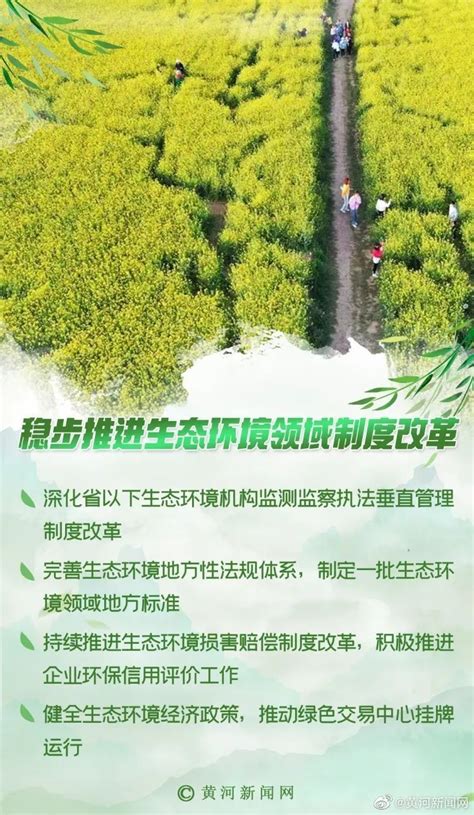 奋进的春天丨解锁生态新密码 不负山水不负卿 四川在线