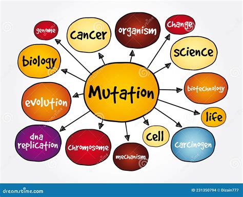 Mutation Mind Map Concept For Presentations And Reports Stock Illustration Illustration Of