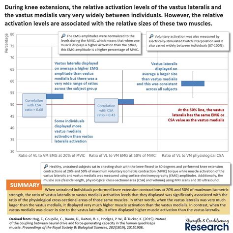 Muscle Volume Within A Group Is Associated With The Relative Level Of