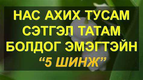 ☯️НАС АХИХ ТУСАМ ИЛҮҮ СЭТГЭЛ ТАТАМ БОЛДОГ ЭМЭГТЭЙН 5 ШИНЖ Youtube