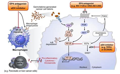 我校5人获省杰青项目资助、4支团队入选省重点科技创新团队 西北大学新闻网