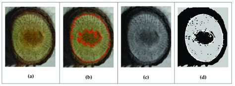 The Use Of The Contour Analysis Algorithm Original Image A Path