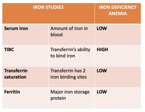 Anemias Lecture Flashcards Quizlet
