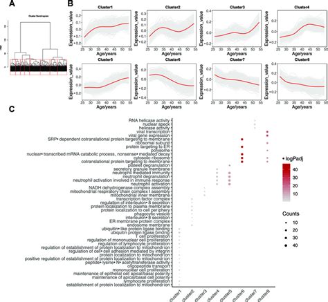 Trajectories Of Gene Expression Throughout Age Form Functional Modules Download Scientific
