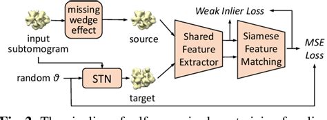 Figure 1 From Unsupervised Multi Task Learning For 3d Subtomogram Image Alignment Clustering
