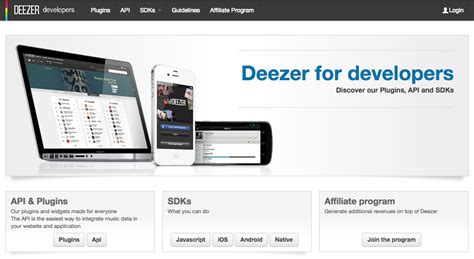 I Cant Get Api Key For Some Reason Rdeezer