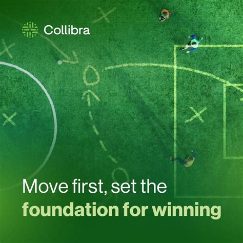 See The Whole Field Collibra