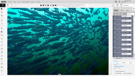 Polygons Annotation Hub