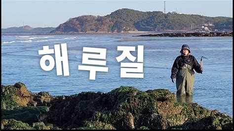 진짜 이거 잡을 줄은 몰랐습니다 Youtube