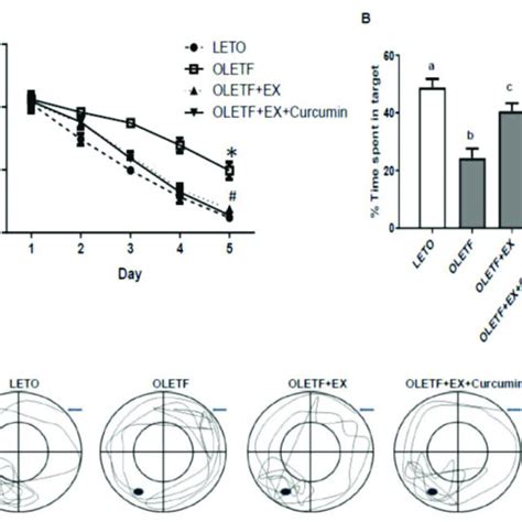 Exercise Plus Curcumin Supplementation Reduced Body Weights And
