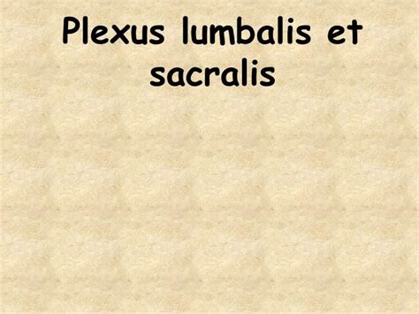 Ppt Plexus Lumbalis Et Sacralis Powerpoint Presentation Free Download Id 4714534