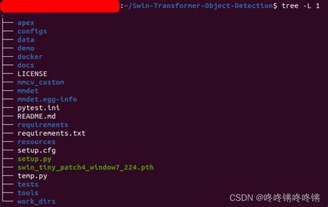 Pytorch版本swin Transformer目标检测训练自己的数据集 Swin Transformer目标检测 Csdn博客