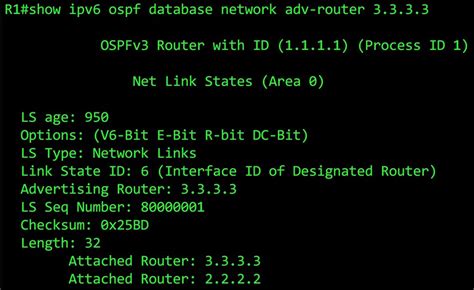 Ospfv3 Lsa Database Yanhc 博客园