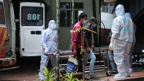 Nipah Virus Brain Swelling Bat Pathogen Claims Second Life With