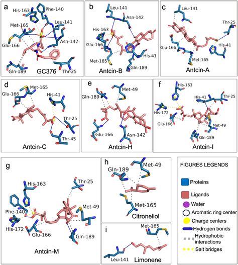 Detailed Visualization Of The Interaction Between The Native Ligand And Download Scientific