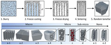 Freeze Casting Zhai Group At Nus