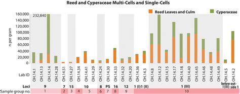 Histogram Of Reed And Cyperaceae Multi Cell And Single Cell Phytoliths Download Scientific
