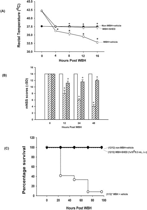 Thermoregulatory Dysfunction Neurologic Deficit And Lethality By Wbh