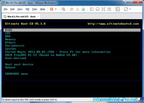 Change The BIOS Or EFI Firmware Boot Order Of A Virtual Machine On VMware Workstation Or