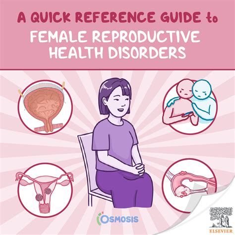 A Quick Reference Guide To Male Reproductive Health Disorders Osmosis Blog