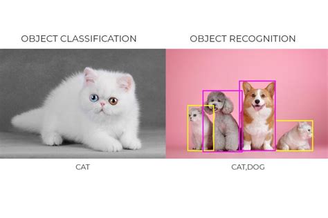 HOW BOUNDING BOX ENABLES OBJECT DETECTION Tech Blogs