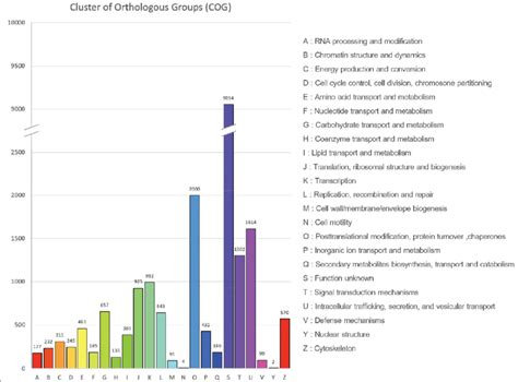 Eggnog Classifications Of Annotated Unigenes Based On Uniprot Database