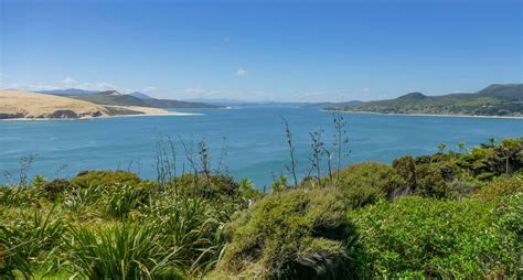 Premium Photo Around Opononi In New Zealand