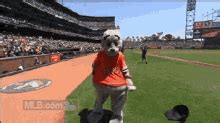 San Francisco Giants S Tenor