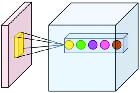 the first layer of the cnn is shown with the 3 dimensional input image