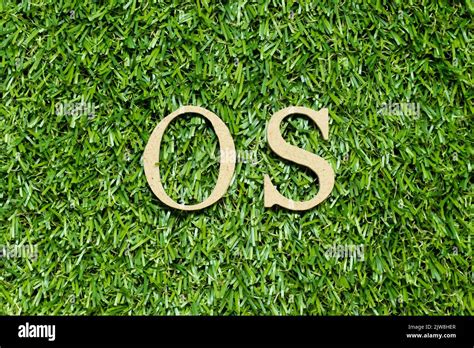 Wood Alphabet Letter In Word Os Abbreviation Of Operating System On Green Grass Background