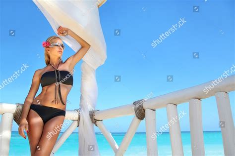 Sexy Model In Elegant Bikini On The Sun Tanned Slim And Shapely Body Is