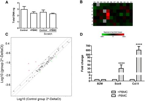 Cell Proliferation Measured With Cyquant Total Dna Assay N 5