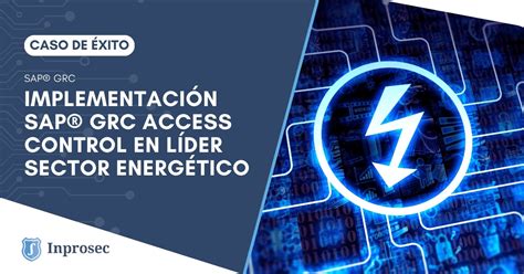 Implementation Of Sap® Grc Access Control For A Leading Client In The