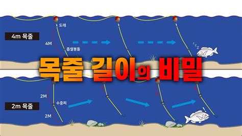 목줄 길이의 비밀 긴 목줄 Vs 짧은 목줄 장단점 비교 Youtube