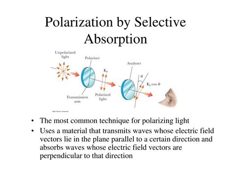 Ppt Diffraction Vs Interference Powerpoint Presentation Free Download Id 5828933