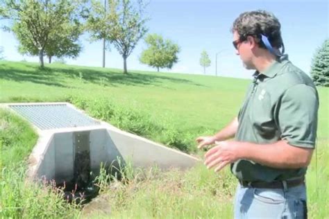 Retention Basin Maintenance Bioretention Basin Global Trademanagement