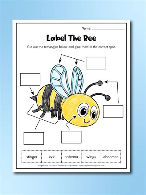 Printable Bee Activity Sheets